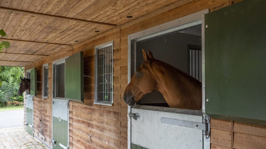 Stable Doors, Windows and Accessories - Scotts of Thrapston